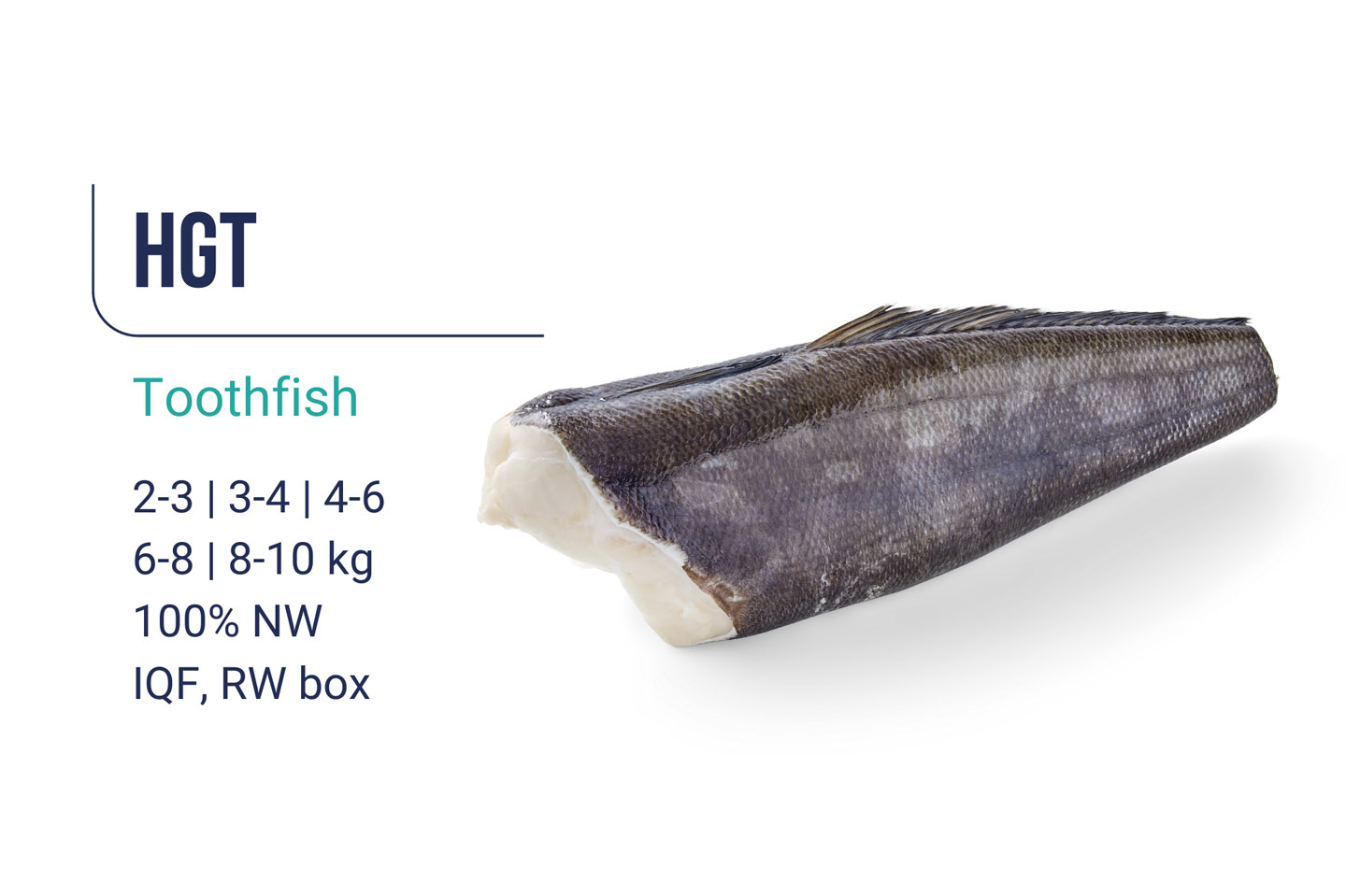 Premium Chilean Seabass – Rich & Flavorful | Amacore